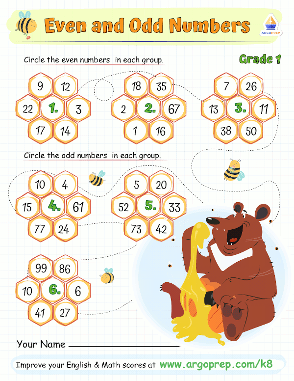 Odd And Even Number Worksheets 1st Grade